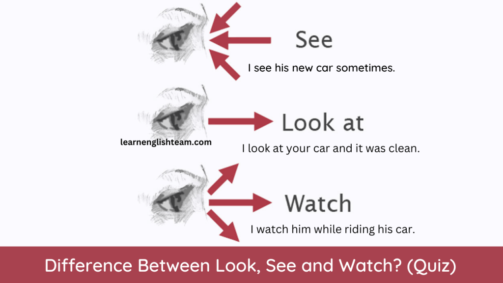 Difference Between Look See And Watch Exercise Quiz 