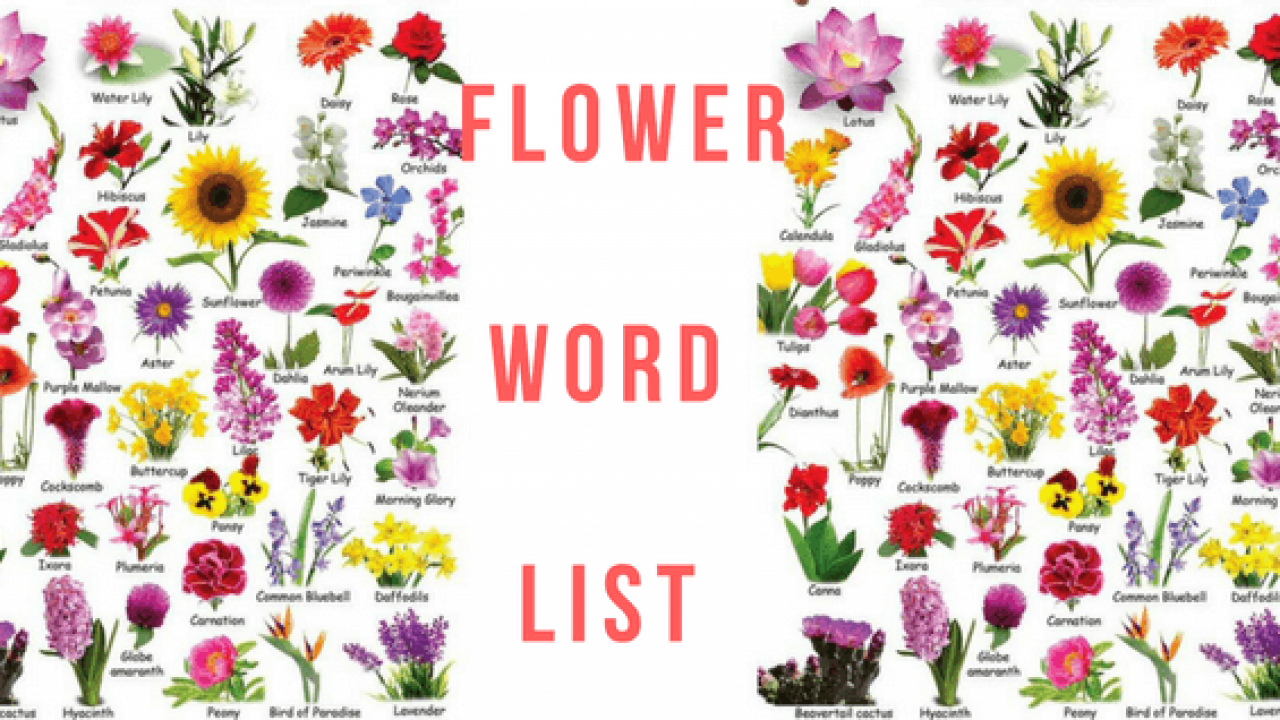 Index of /wp-content/uploads/2018/07/