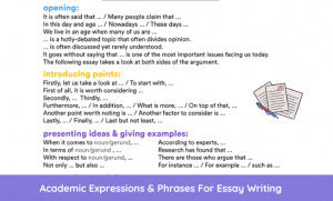 Useful Academic Expressions & Phrases For Essay Writing