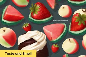 Short English Stories to Teach Adjectives (PDF)